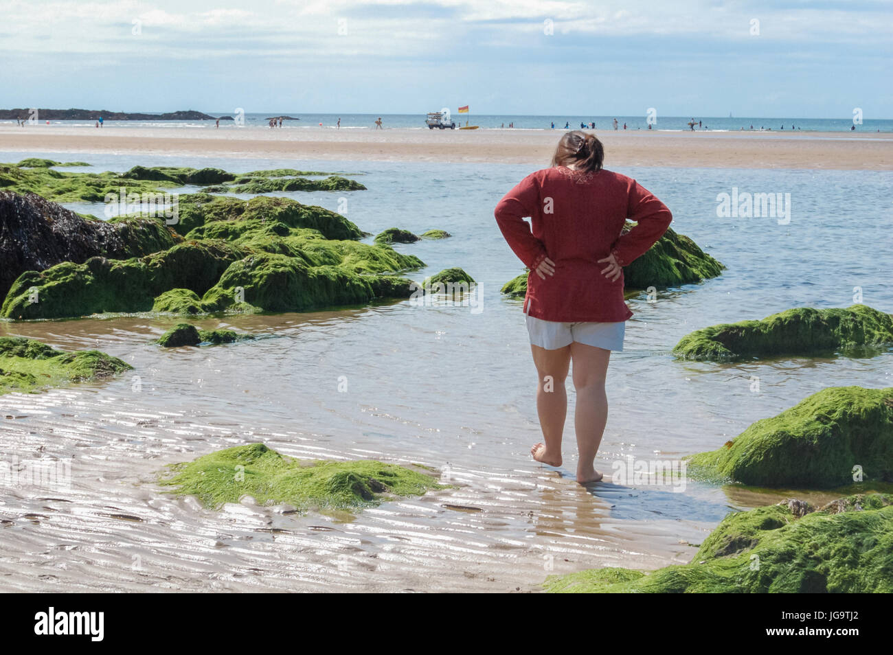 Tide pools with seaweed on the sandy beach hi-res stock photography and ...