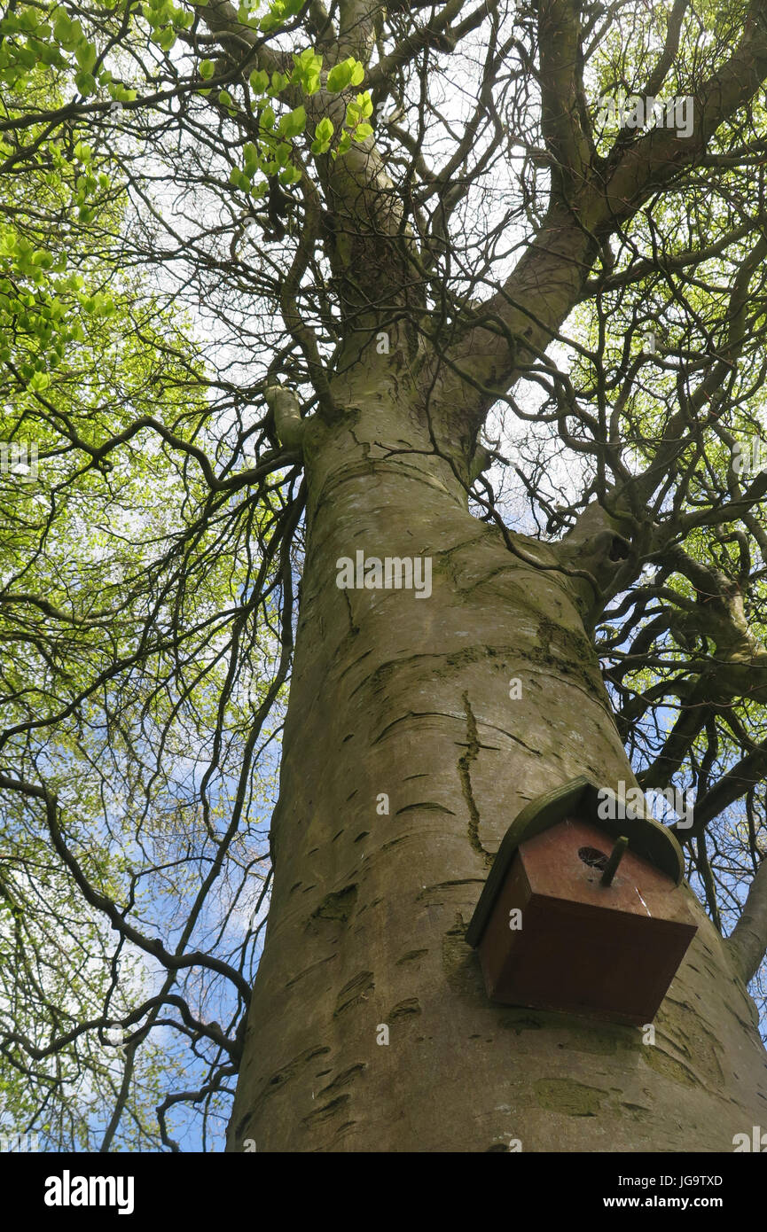 Roundwood wicklow hi-res stock photography and images - Alamy