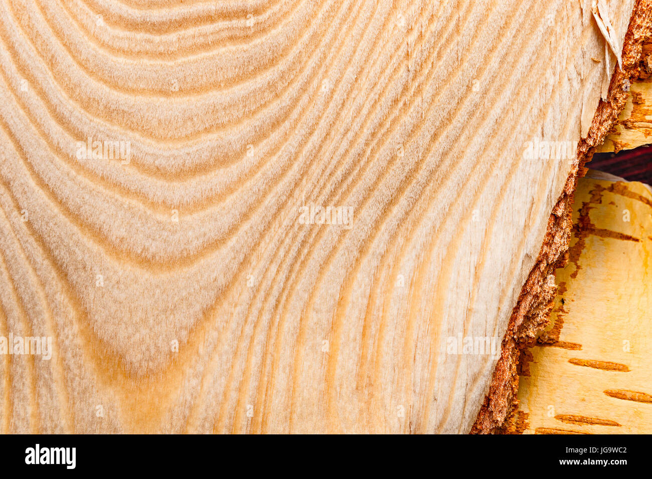 Texture of wood birch background closeup Stock Photo - Alamy