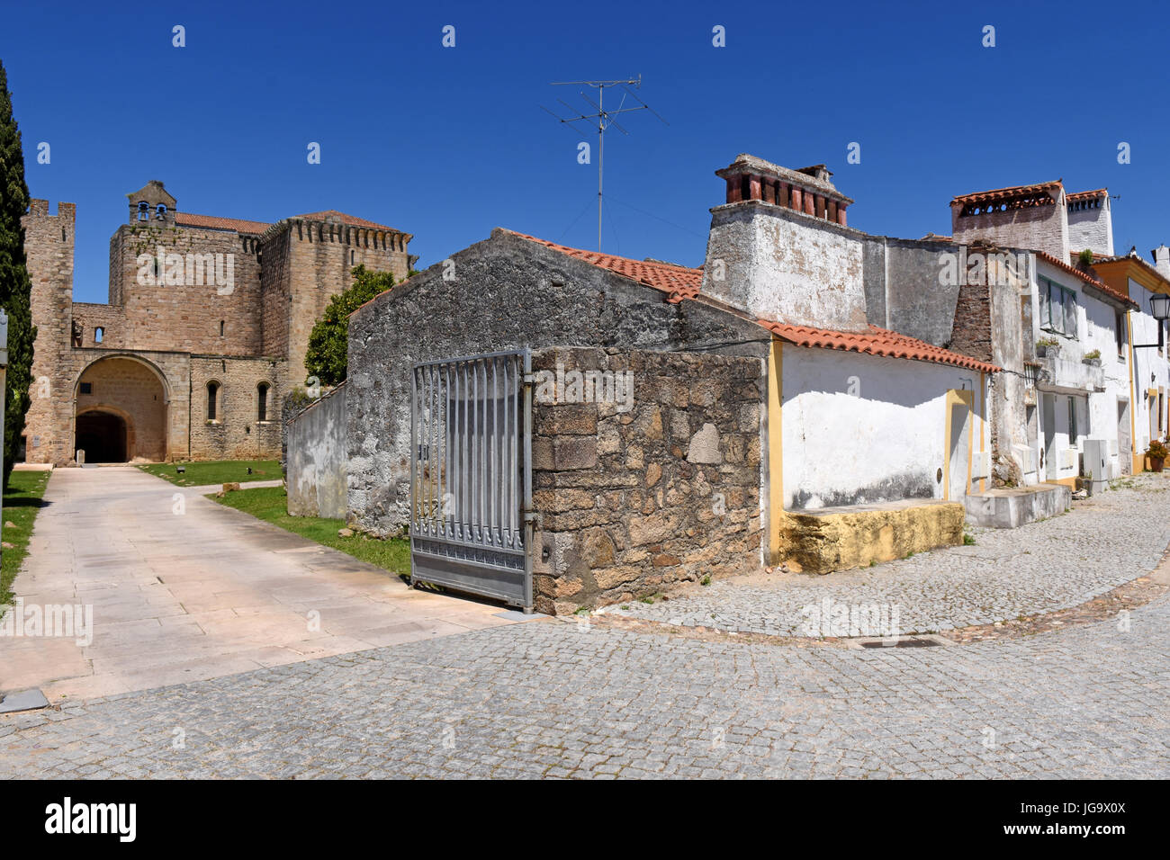 Flor da rosa hi-res stock photography and images - Alamy