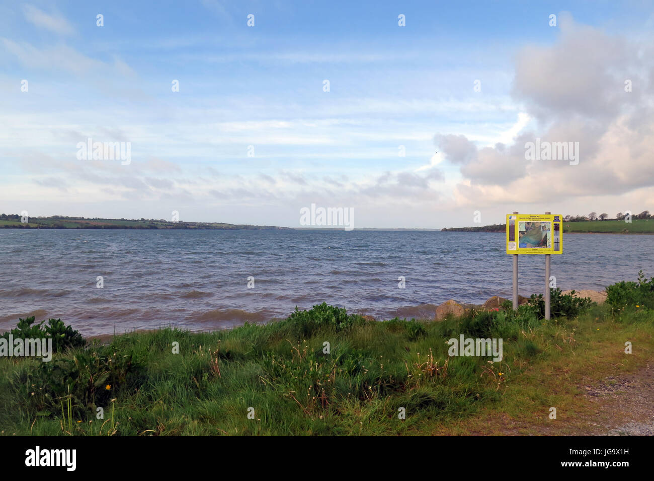 Bannow Bay, Co.Wexford, Ireland Stock Photo - Alamy