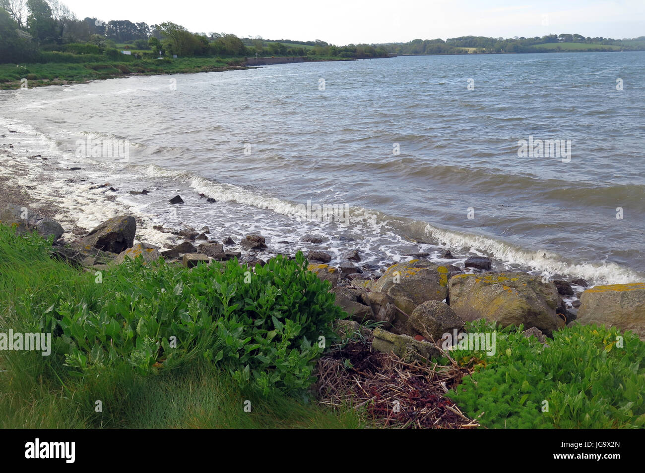 Bannow bay hi-res stock photography and images - Alamy