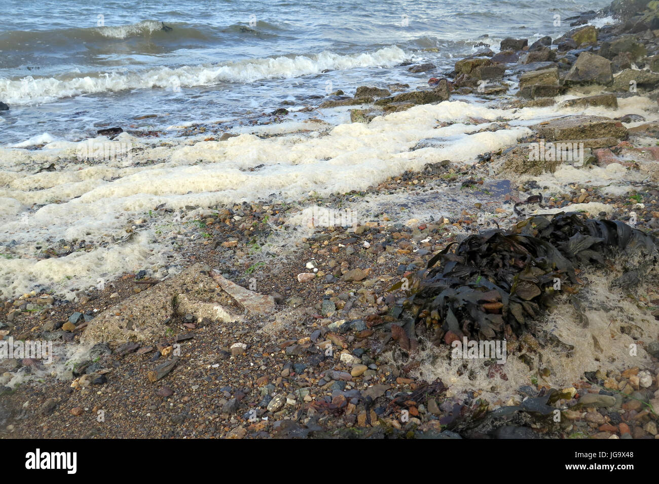 Bannow Bay, Co.Wexford, Ireland Stock Photo - Alamy