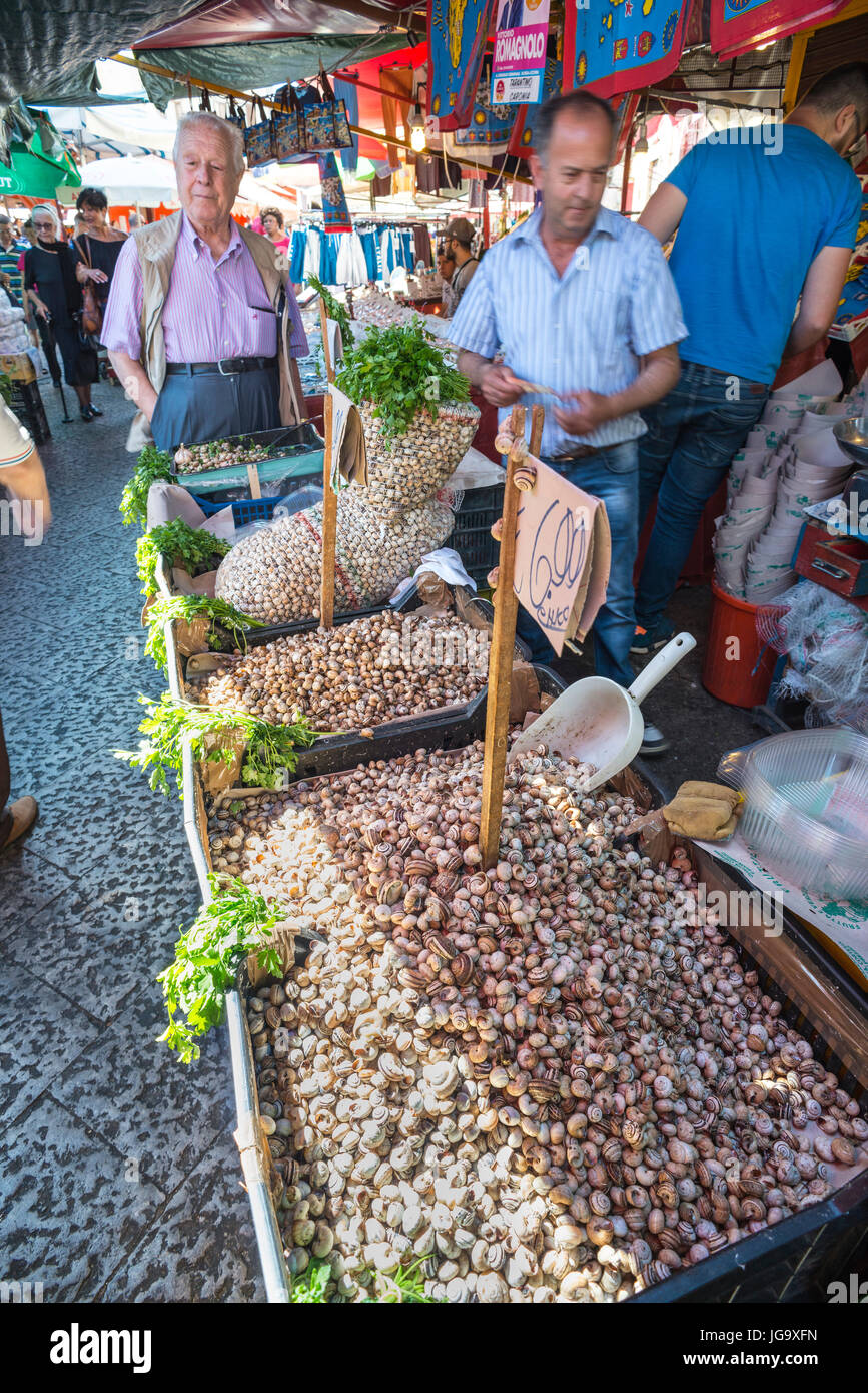 Live snails for sale in The Ballaro Market in the Albergheria district ...