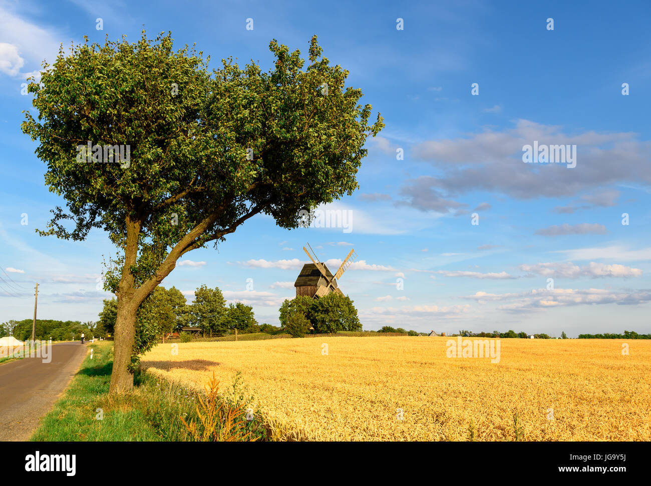 Windmill in a wheat field Stock Photo - Alamy