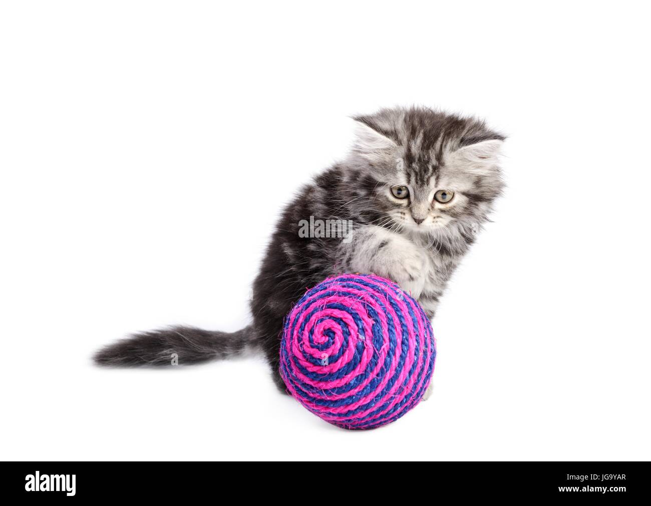 Boll hi-res stock photography and images - Alamy