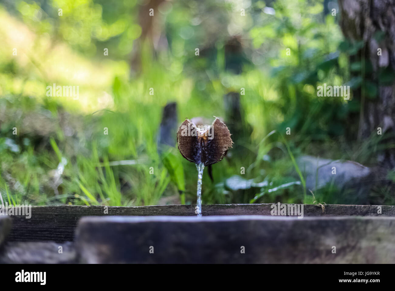 Water source, drinking water, natural spring water, clear, cold Stock ...