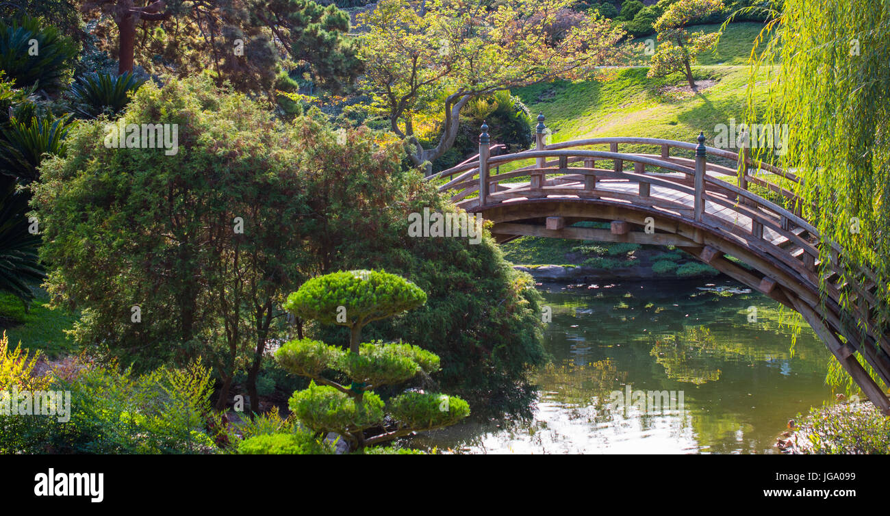 weathered wooden arched bridge in Japanese garden Stock Photo - Alamy