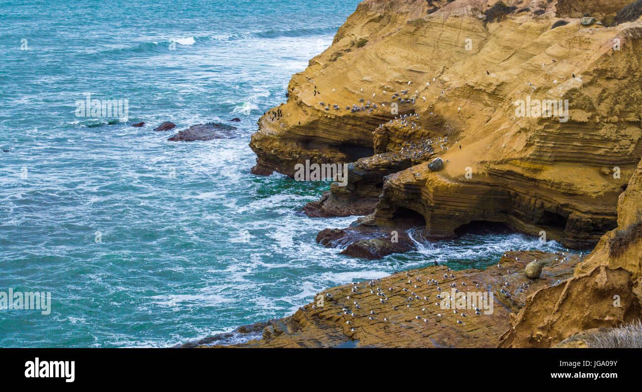 rocky shale cliffs with seabirds on Pacific Ocean in San Diego ...