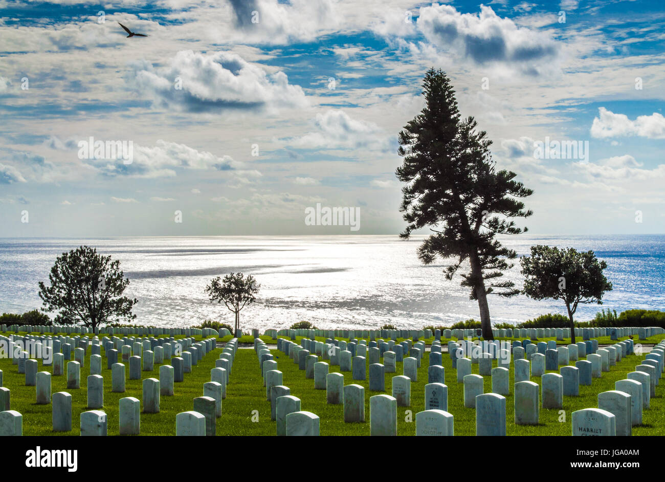 Military cemetery overlooking the Pacific ocean Stock Photo - Alamy