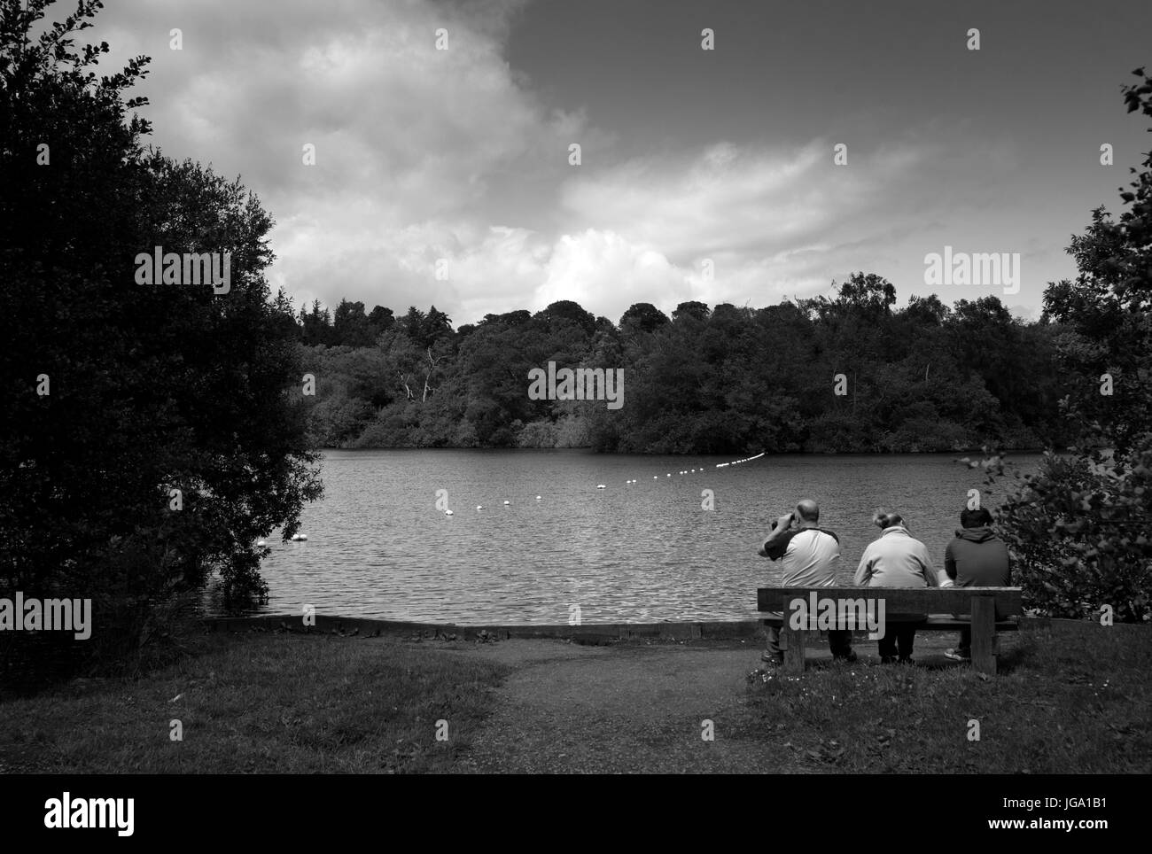 Bolam Lake Northumberland Stock Photo - Alamy