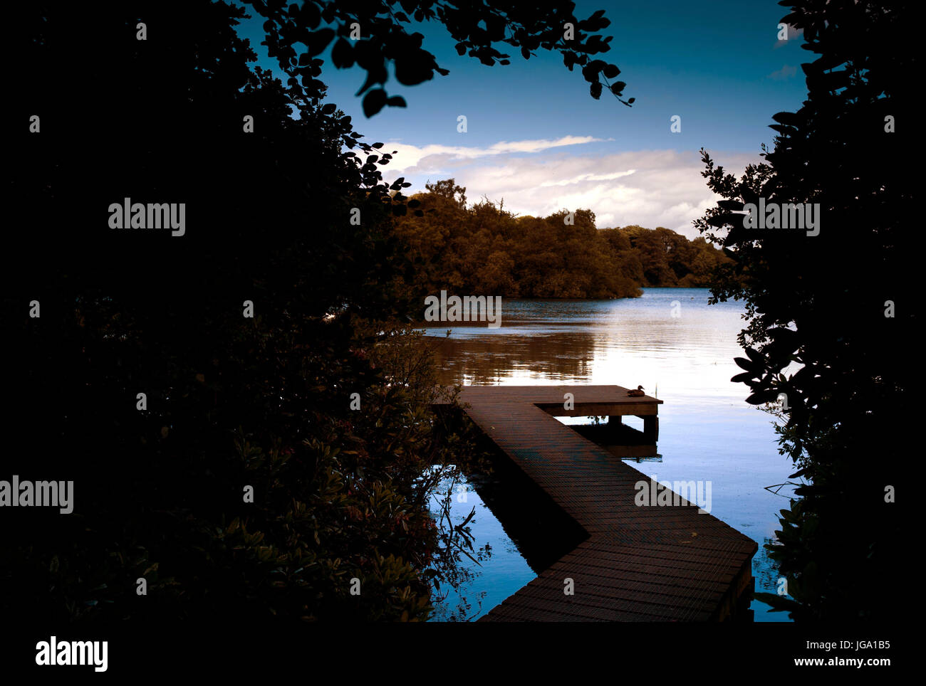 Bolam Lake High Resolution Stock Photography and Images - Alamy
