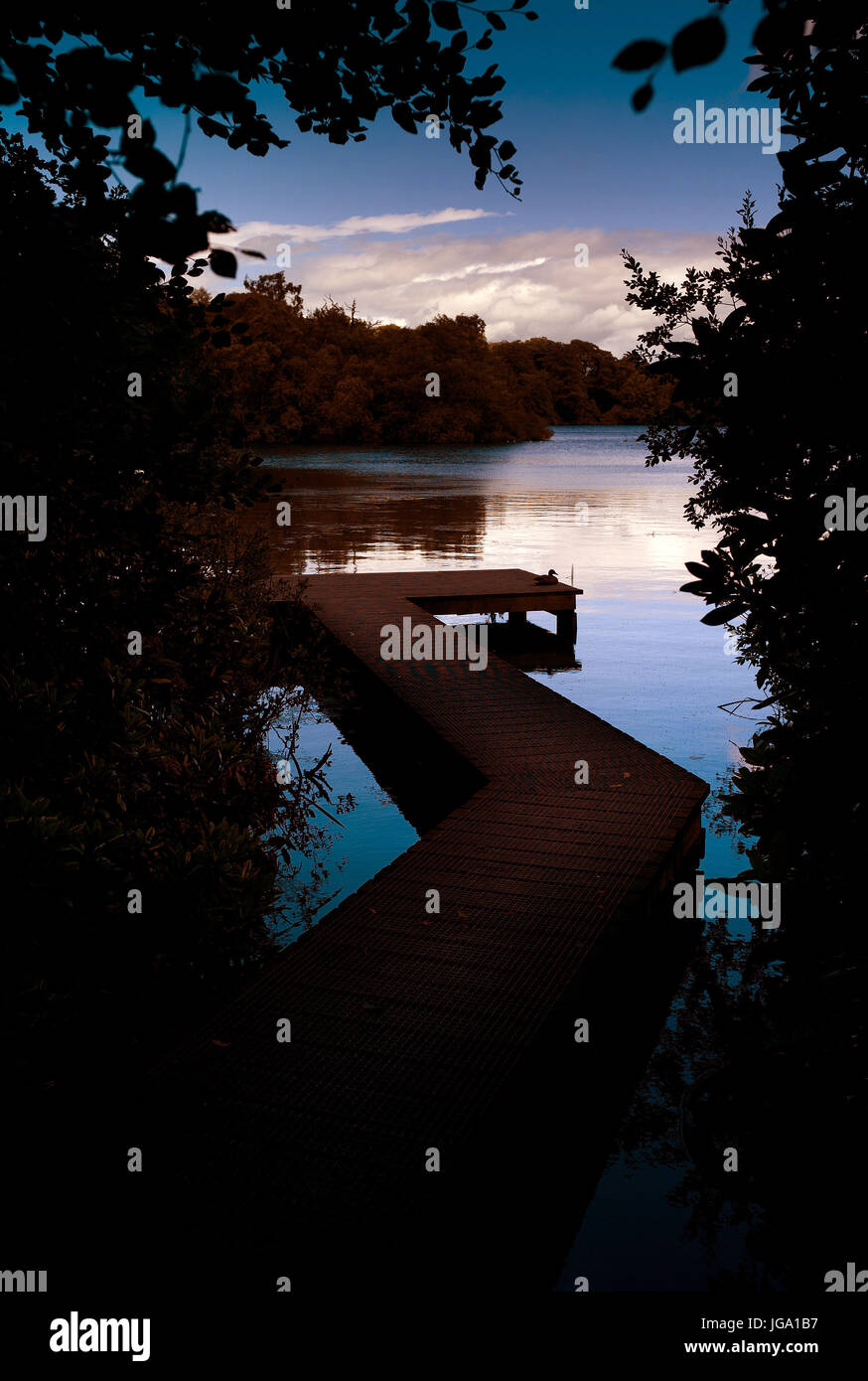 Bolam Lake High Resolution Stock Photography and Images - Alamy