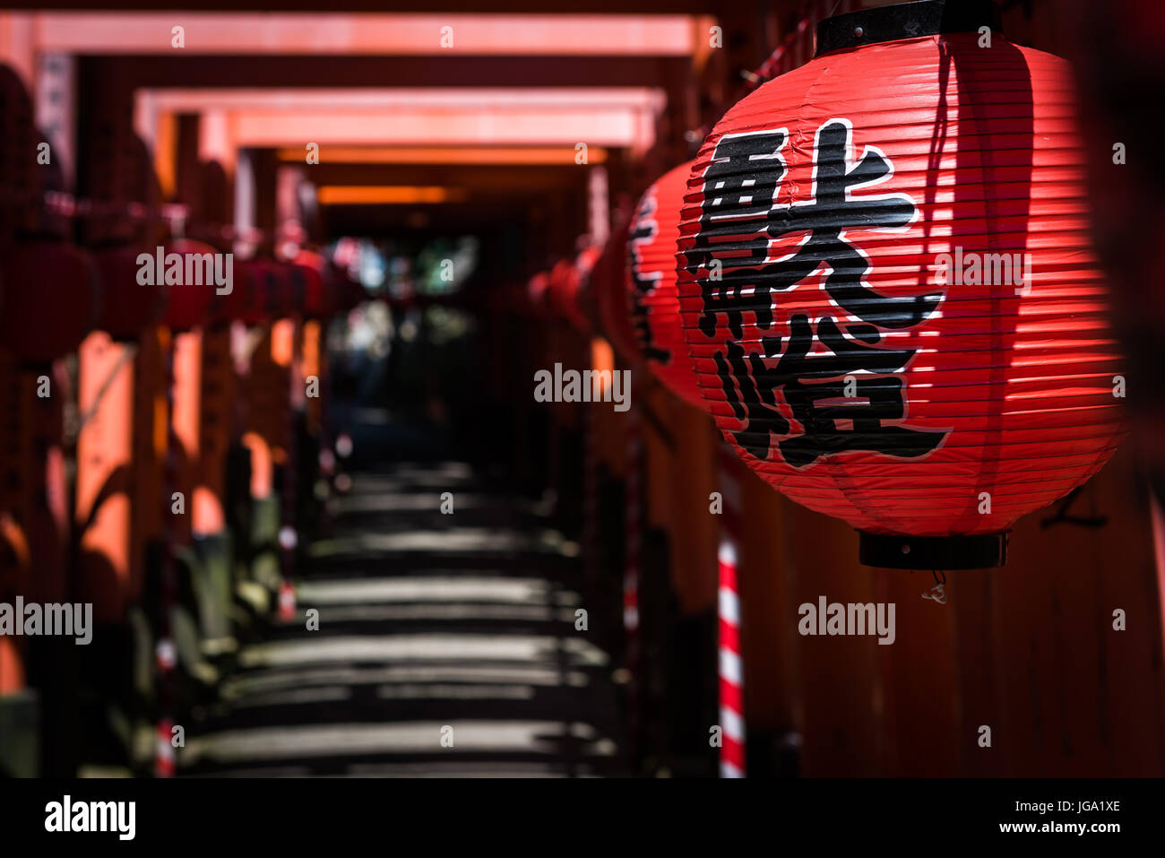 Red lantern hanging in Fushimi Inari torii gates in Kyoto, Japan Stock ...