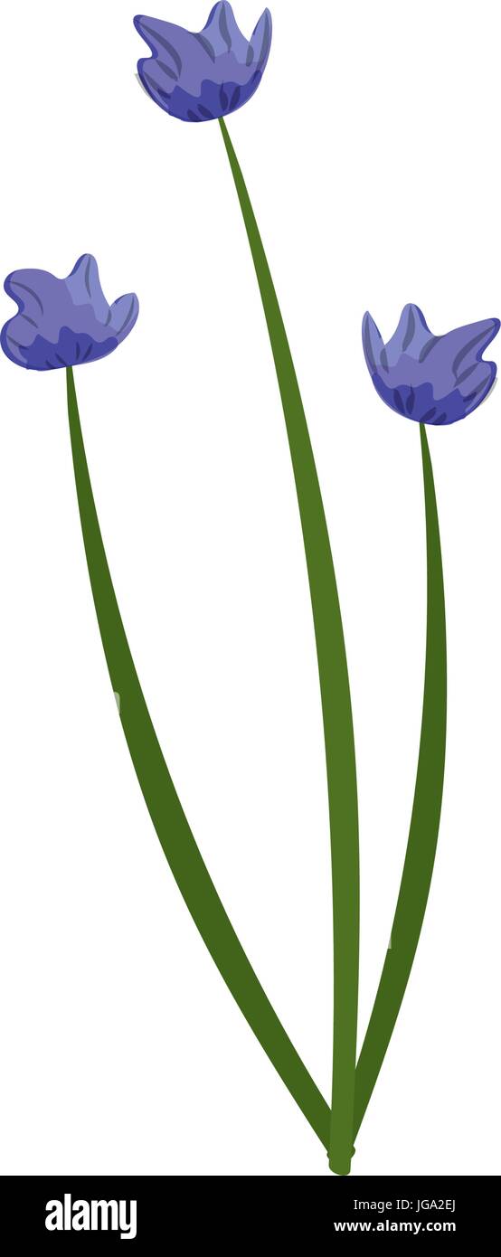 chives plant ingredient to condiment of food Stock Vector Image & Art ...