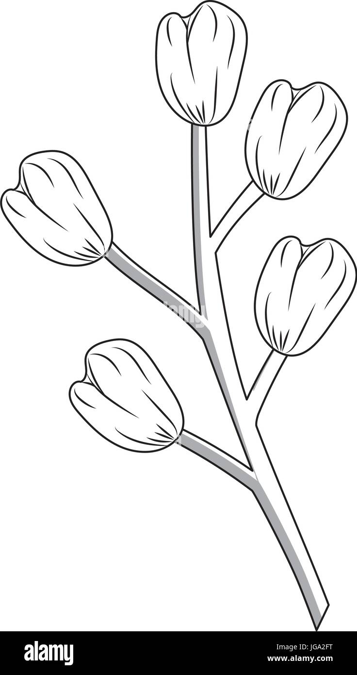 Plant food variety Black and White Stock Photos & Images - Alamy