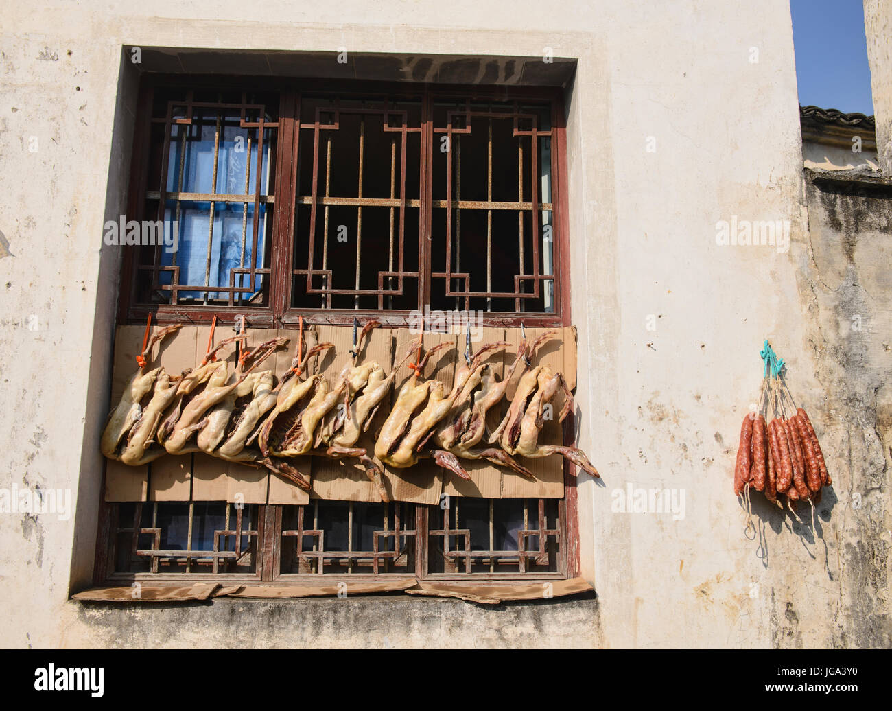 Drying Ducks High Resolution Stock Photography and Images - Alamy