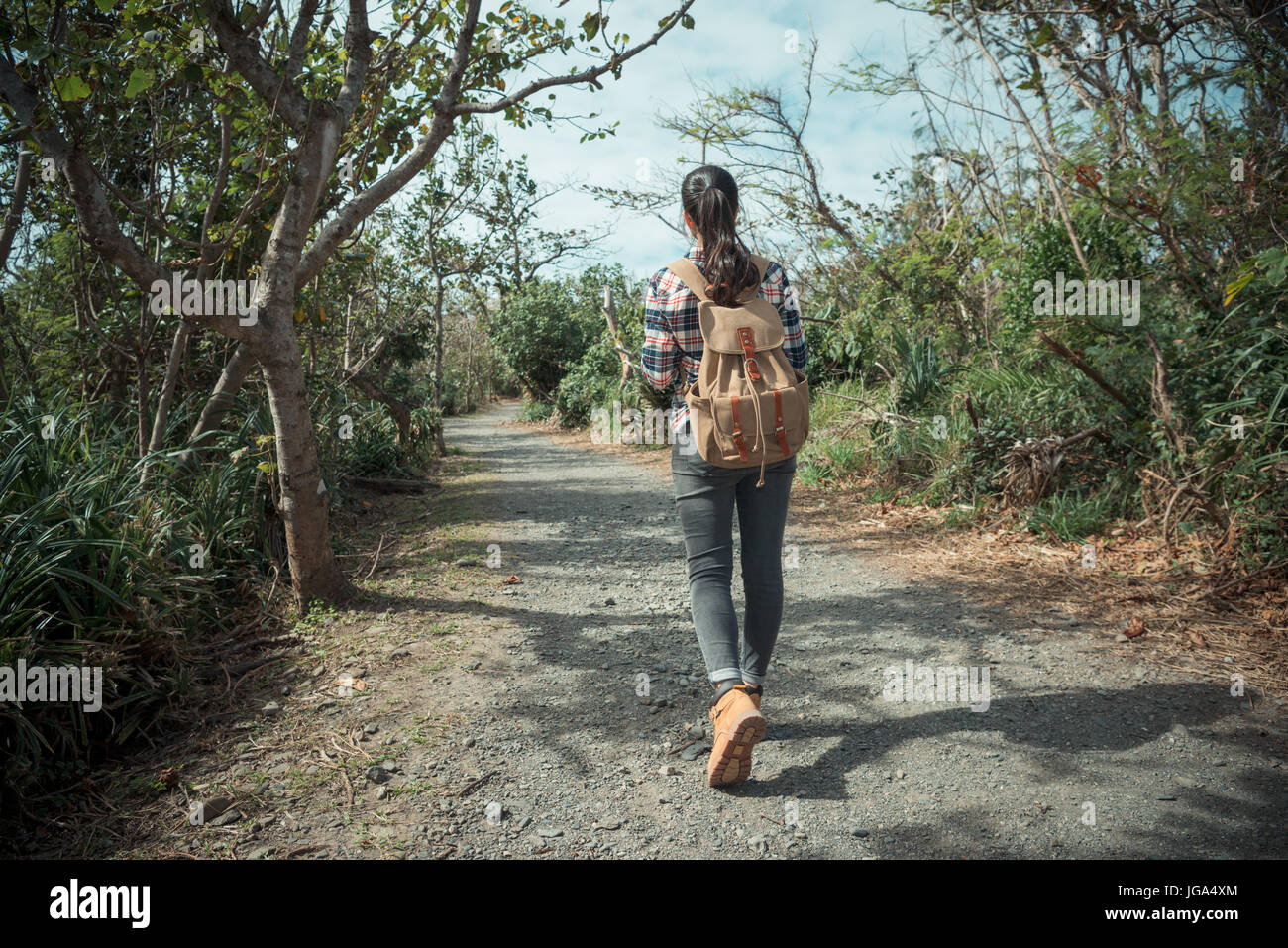 back view photo of female backpacker walking on forest path and viewing ...
