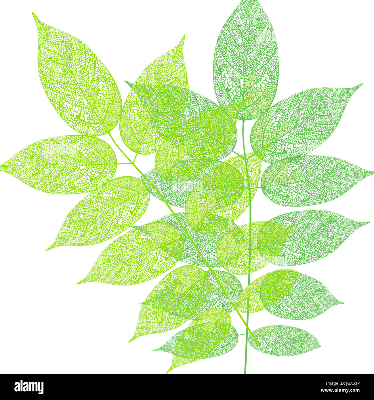 Tree leaves pattern illustration Stock Photo - Alamy