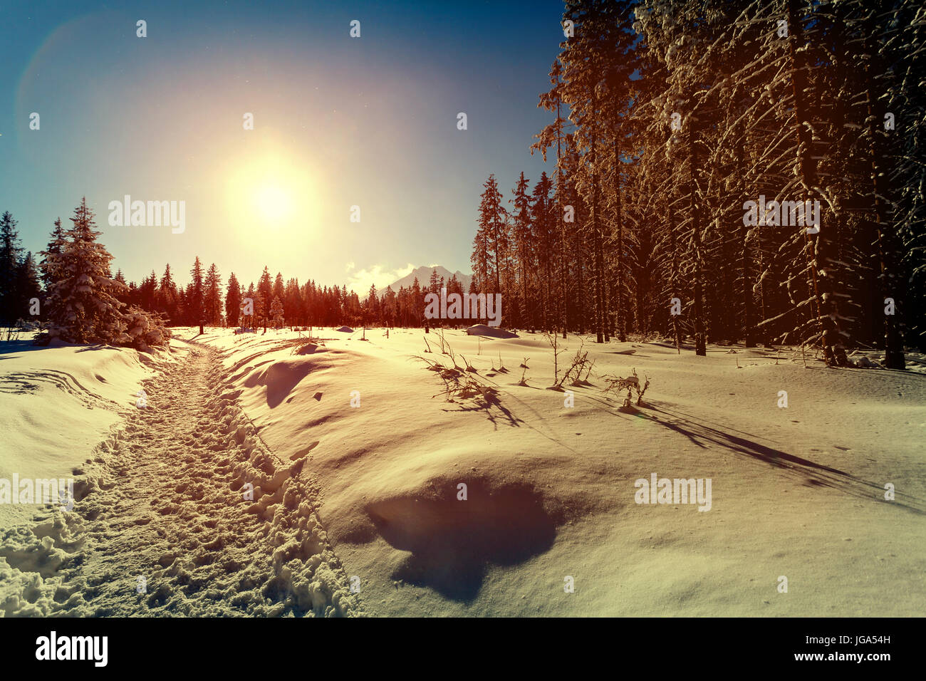 Warm and cold colors hi-res stock photography and images - Alamy