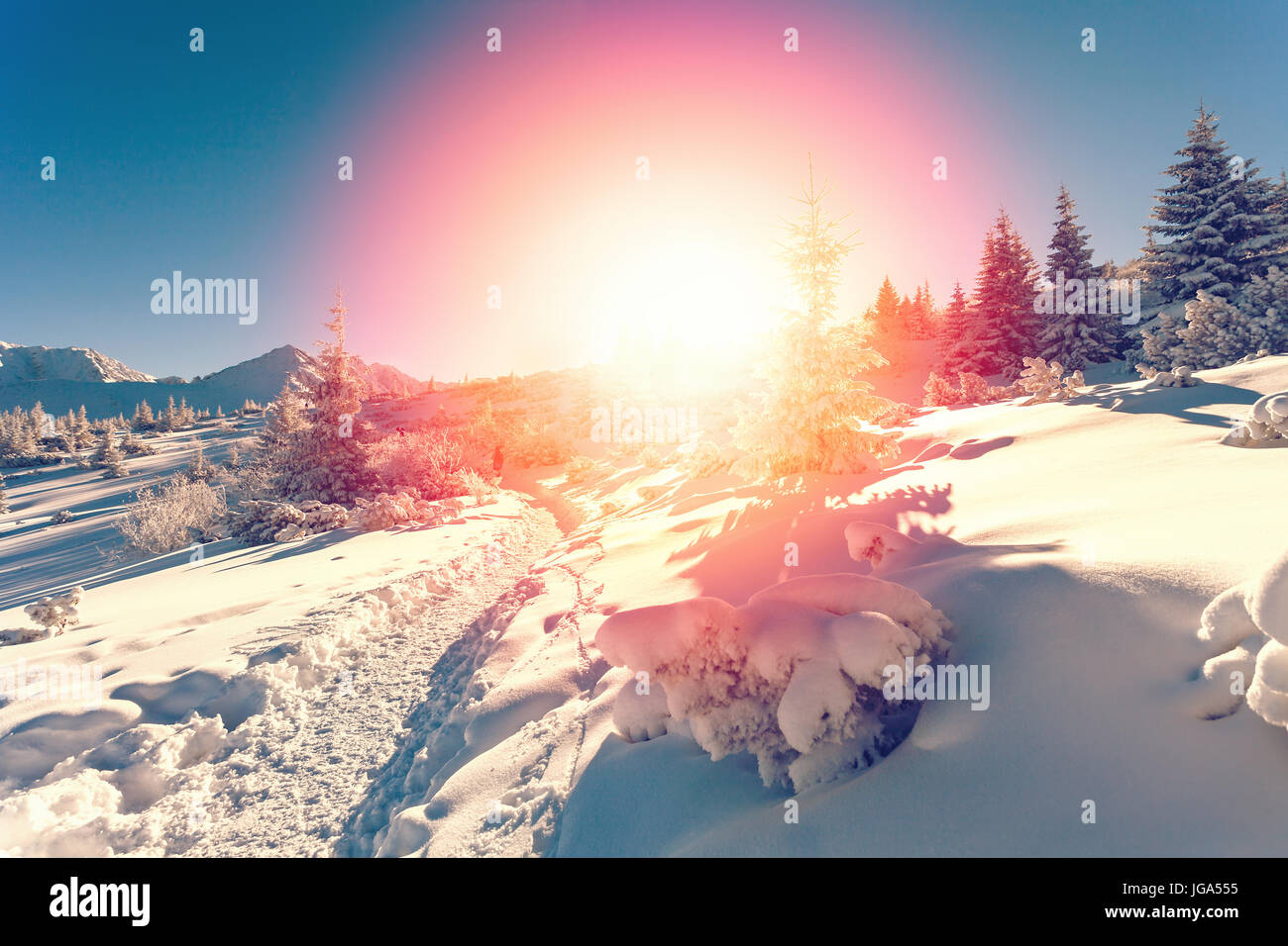 White nature landscape sun hi-res stock photography and images - Alamy