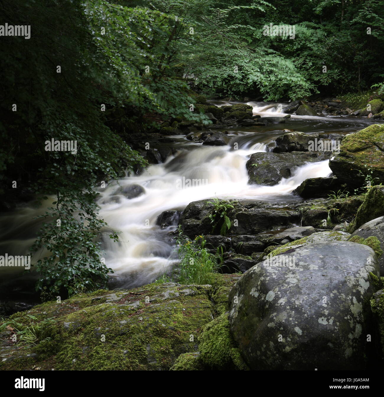Moness burn near Aberfeldy Scotland June 2017 Stock Photo - Alamy
