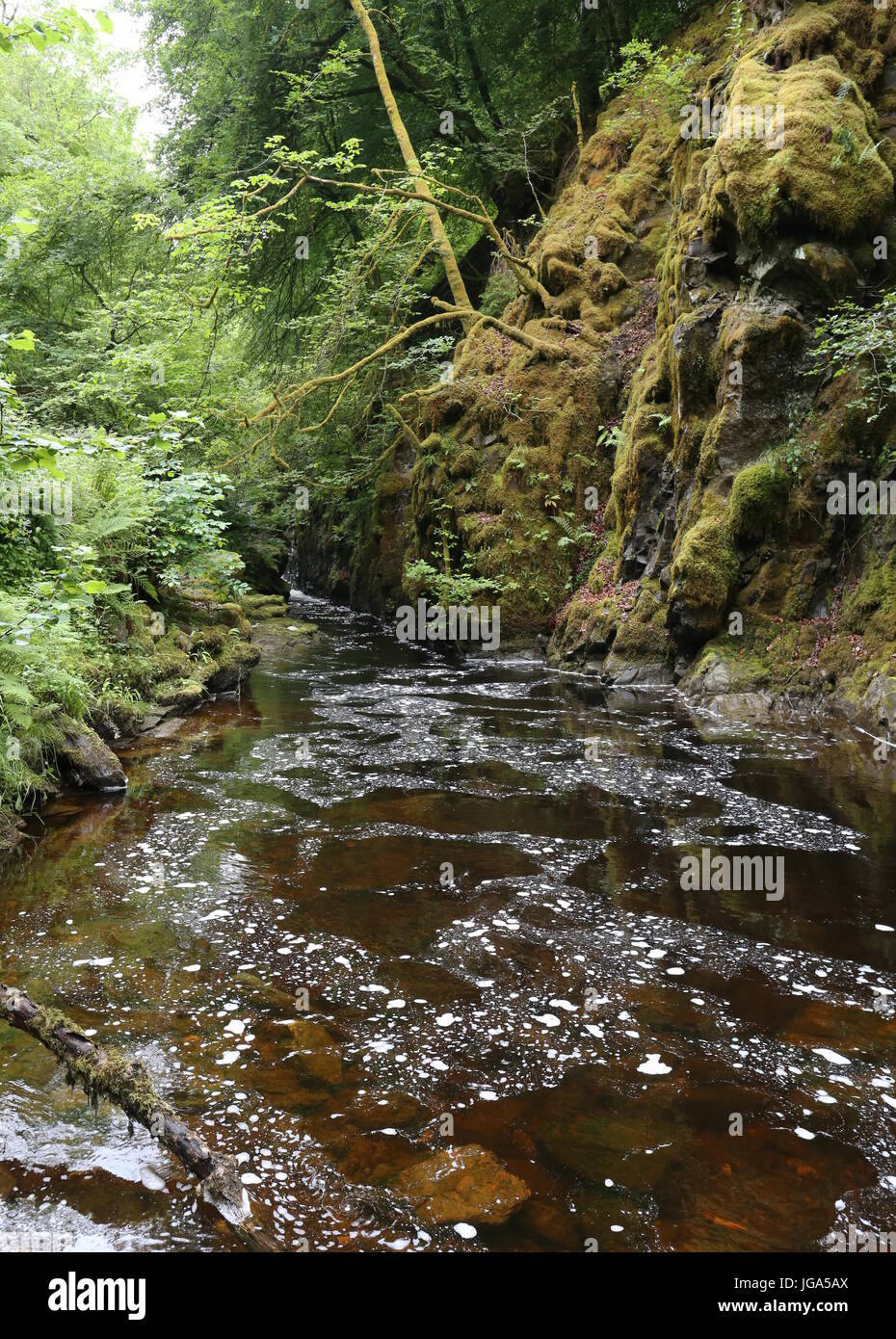 Moness gorge hi-res stock photography and images - Alamy