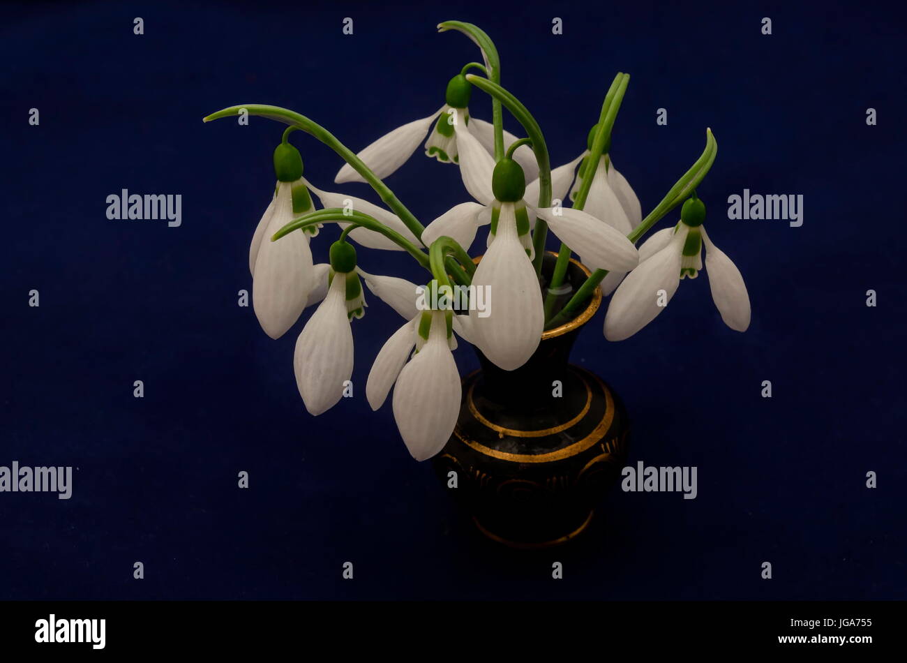 Spring snowdrop flower bouquet in porcelain vase at blue background ...