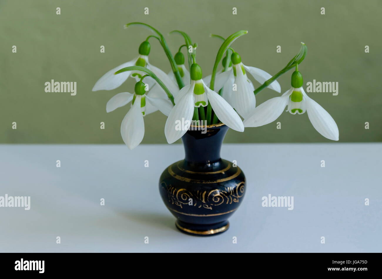 Spring snowdrop flower bouquet in porcelain vase at light background ...