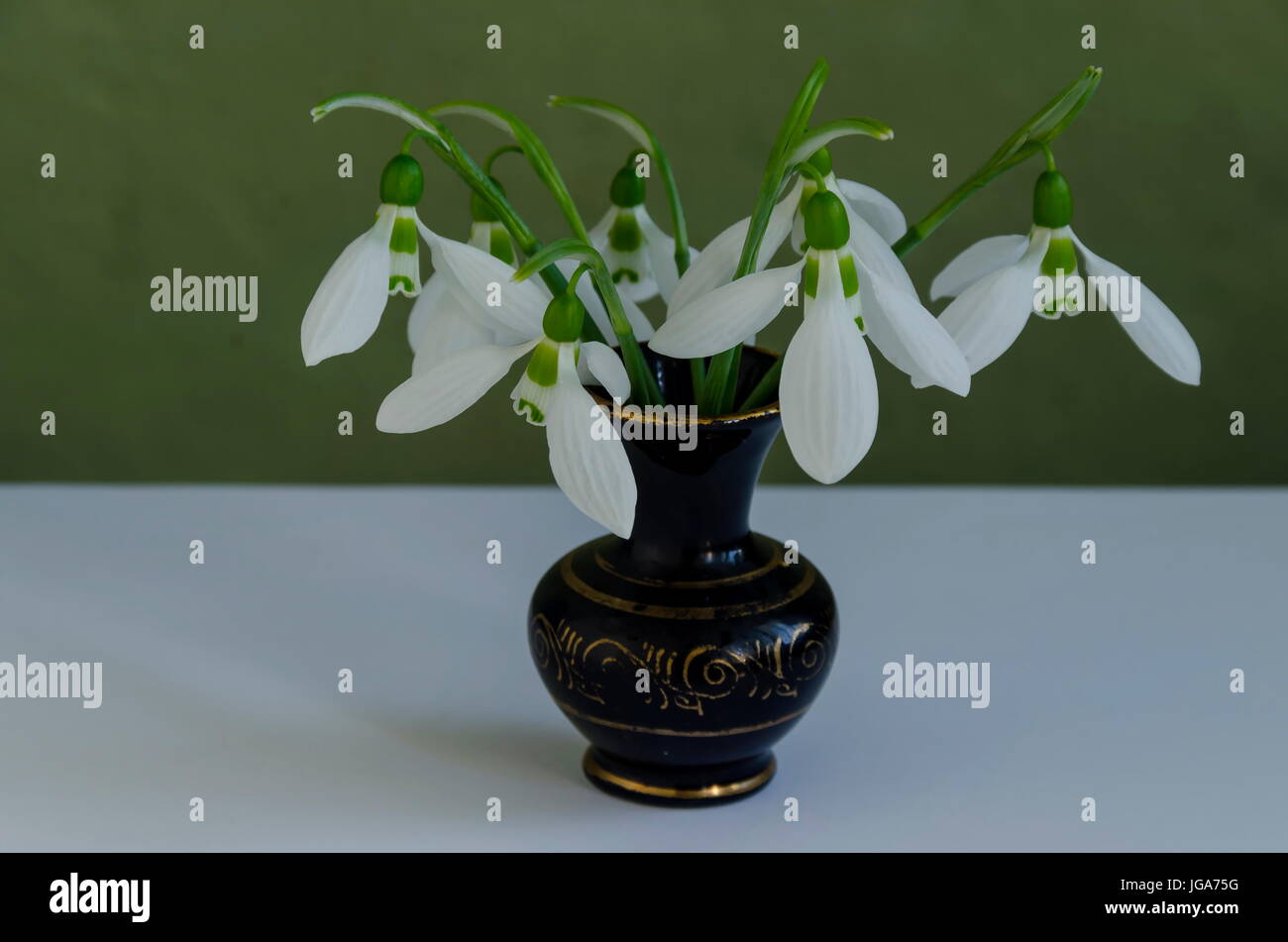Spring snowdrop flower bouquet in porcelain vase at light background ...
