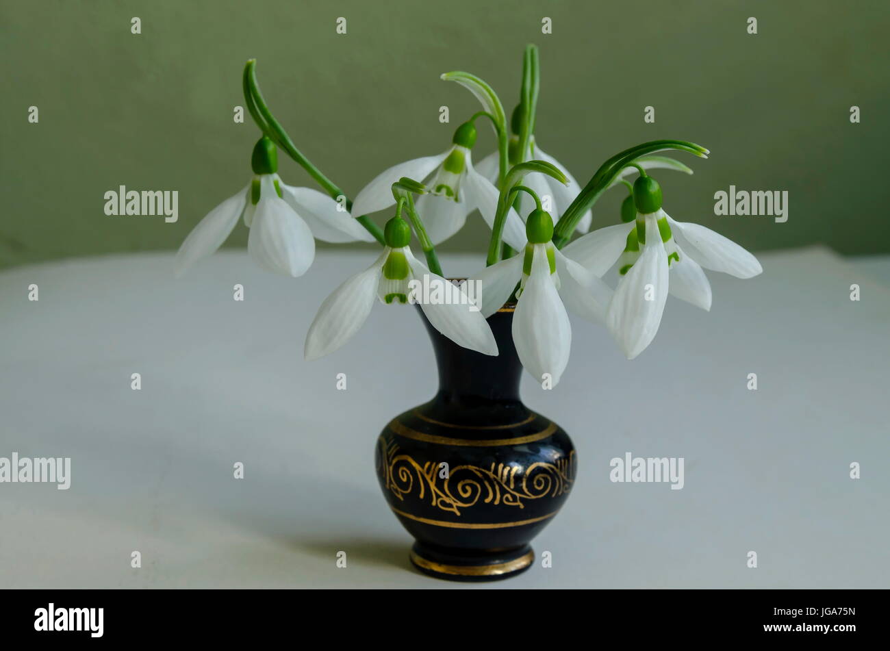 Spring snowdrop flower bouquet in porcelain vase at light background ...
