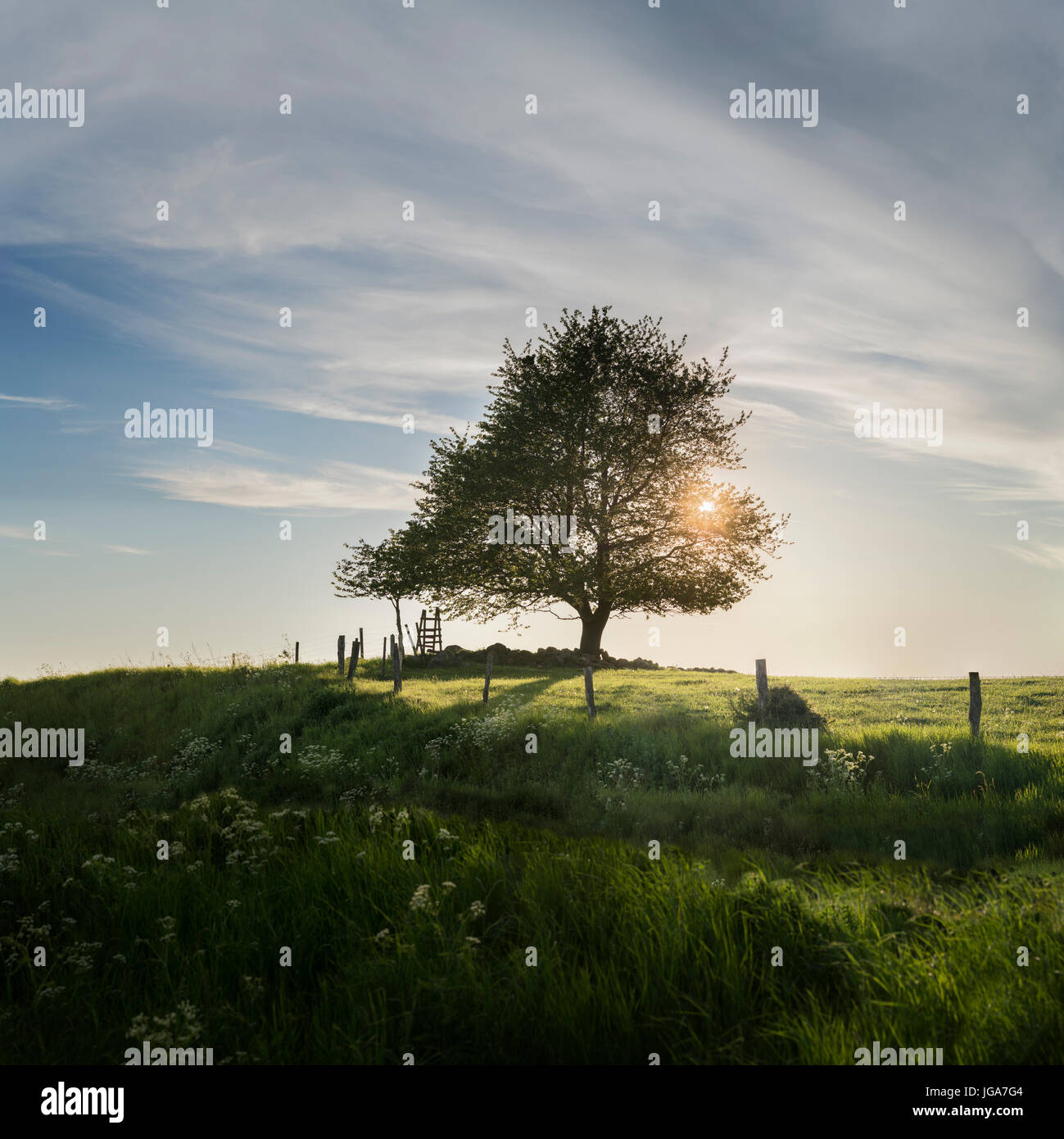 Outside pasture sunny landscape sky hi-res stock photography and images ...