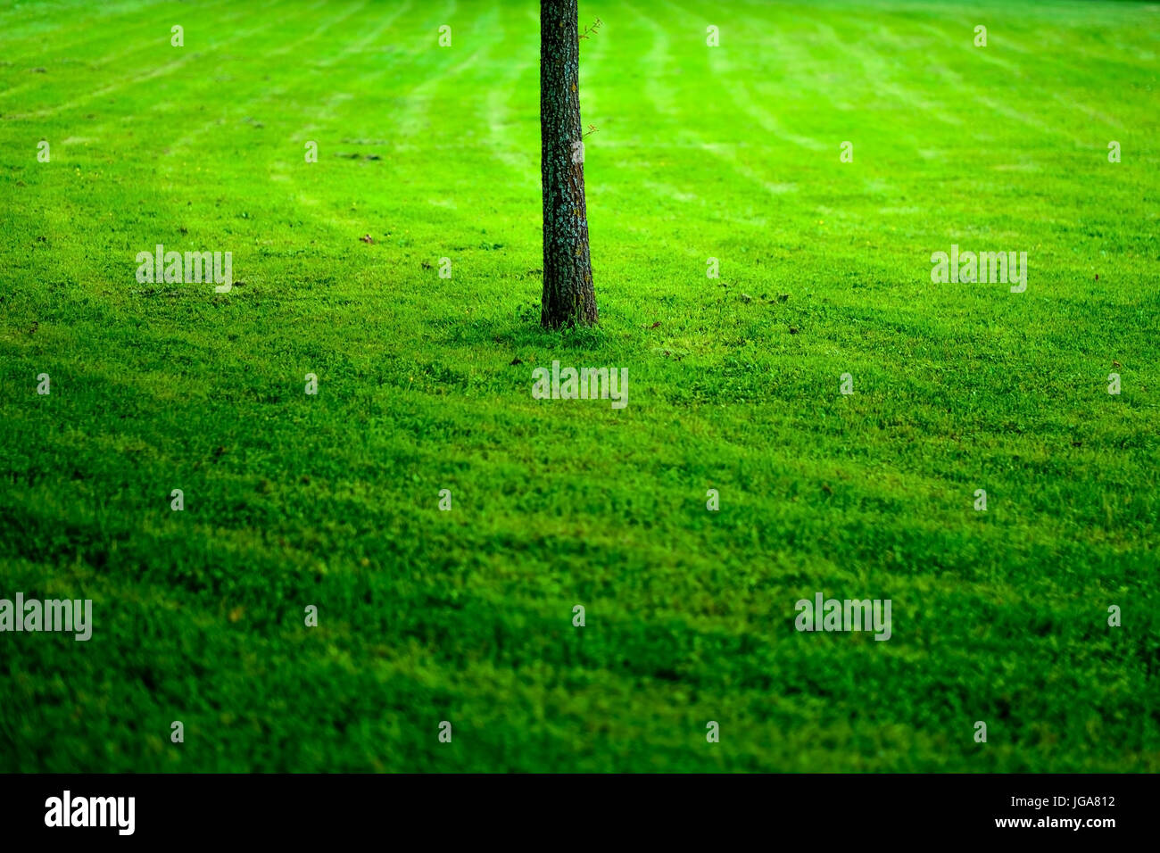 Field and sport hi-res stock photography and images - Alamy