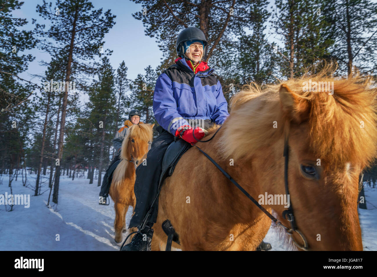Horseback riding in the winter, Lapland, Sweden Stock Photo - Alamy