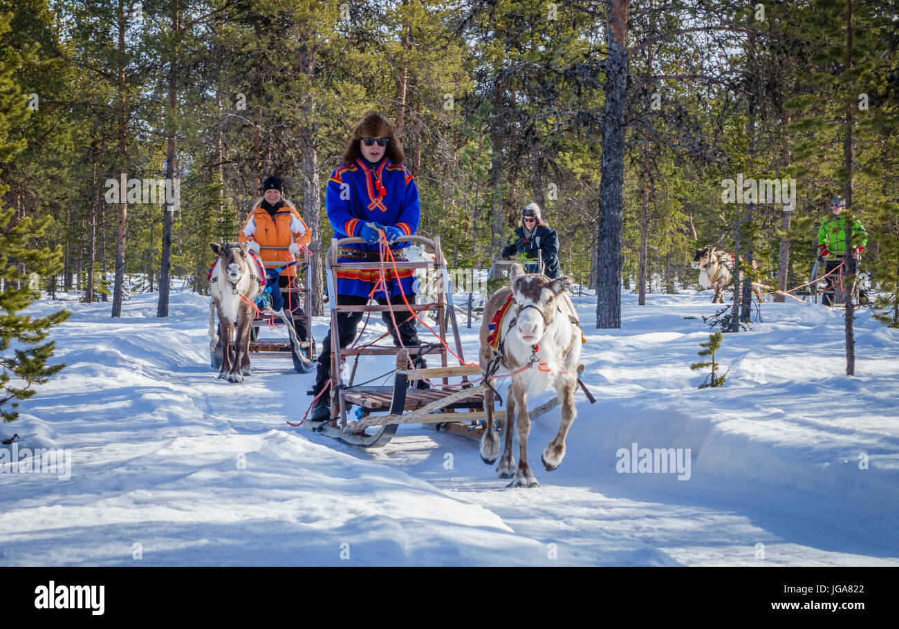 Reindeer Sledding, Lapland, Finland Stock Photo - Alamy