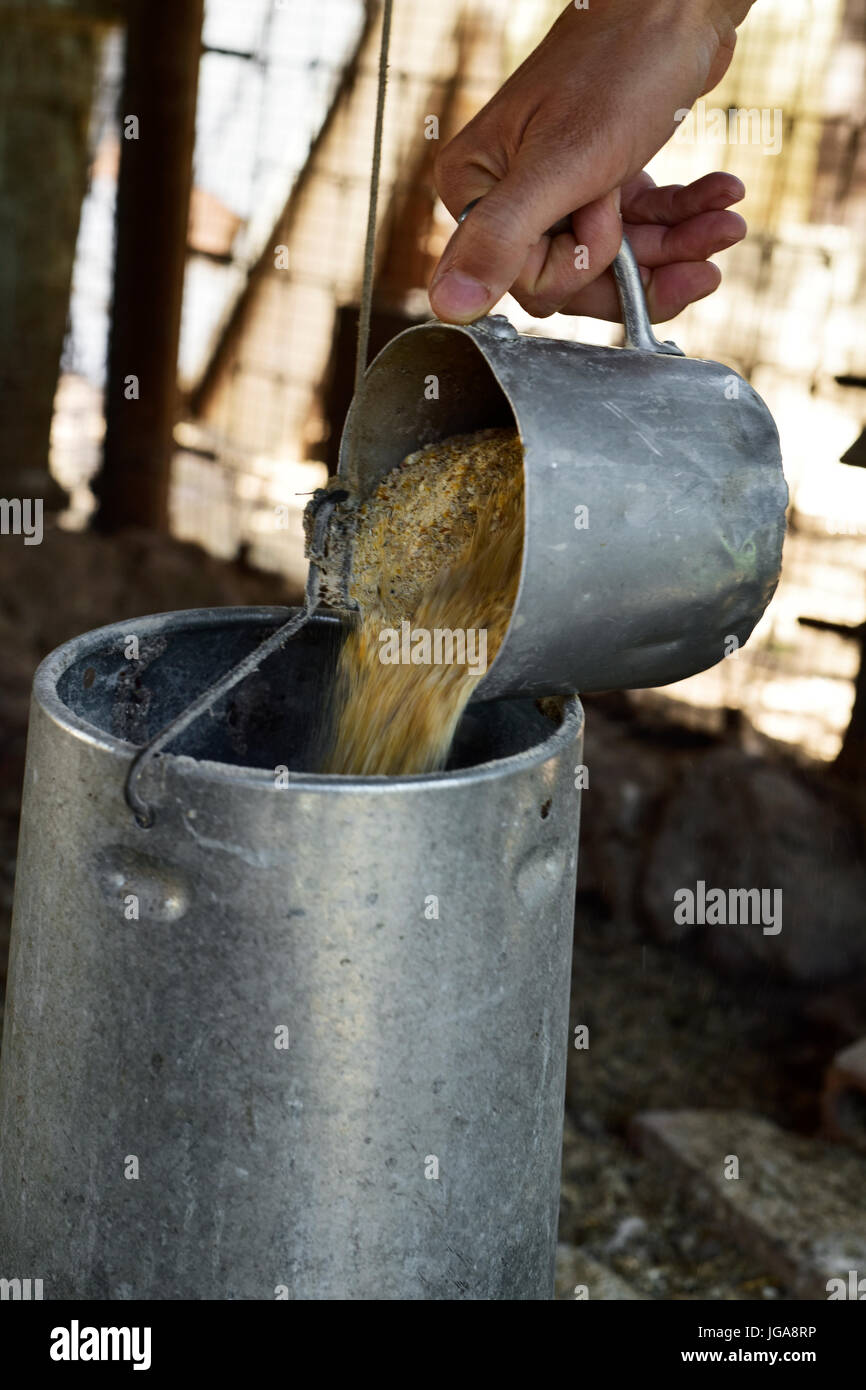 closeup of a young caucasian farmer man filling with compound feed a ...