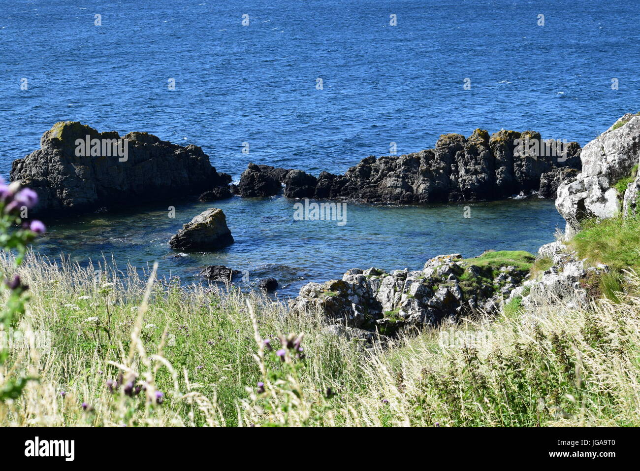 Sea skerries at Dunure Stock Photo - Alamy