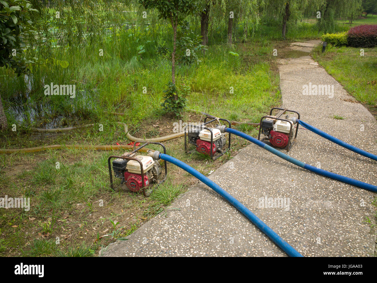 Three portable pumps being used to pump out water from over-full pond ...