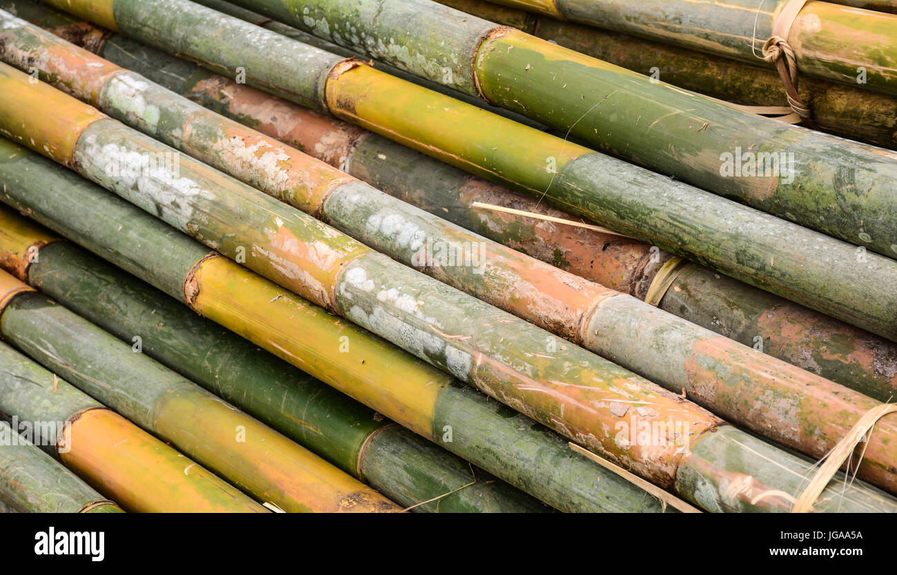 Bamboo logs hi-res stock photography and images - Alamy