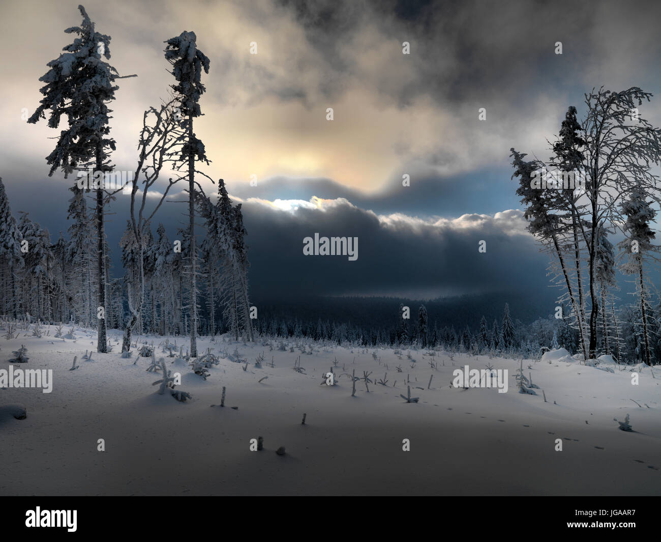 Blizzard conditions winter storm hi-res stock photography and images ...