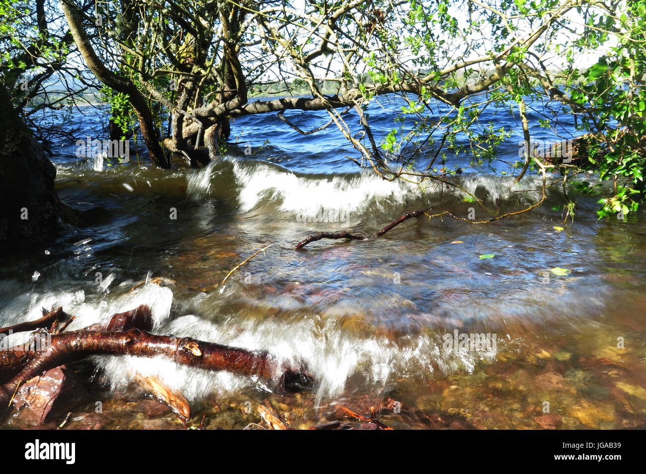 Vartry Reservoir, Ireland, 2017 Stock Photo - Alamy