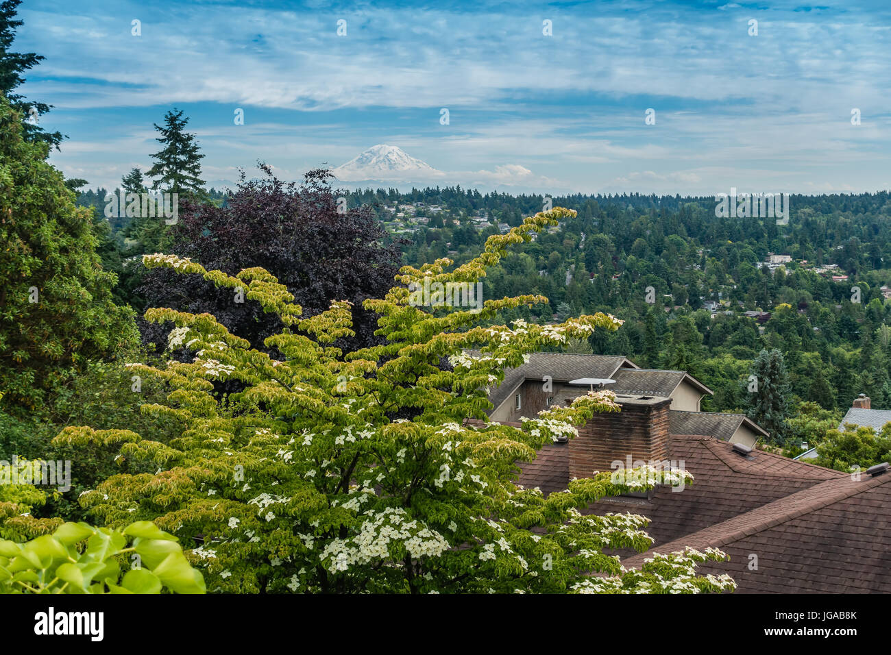 A view of Mount Rainier from Burien, Washington Stock Photo - Alamy