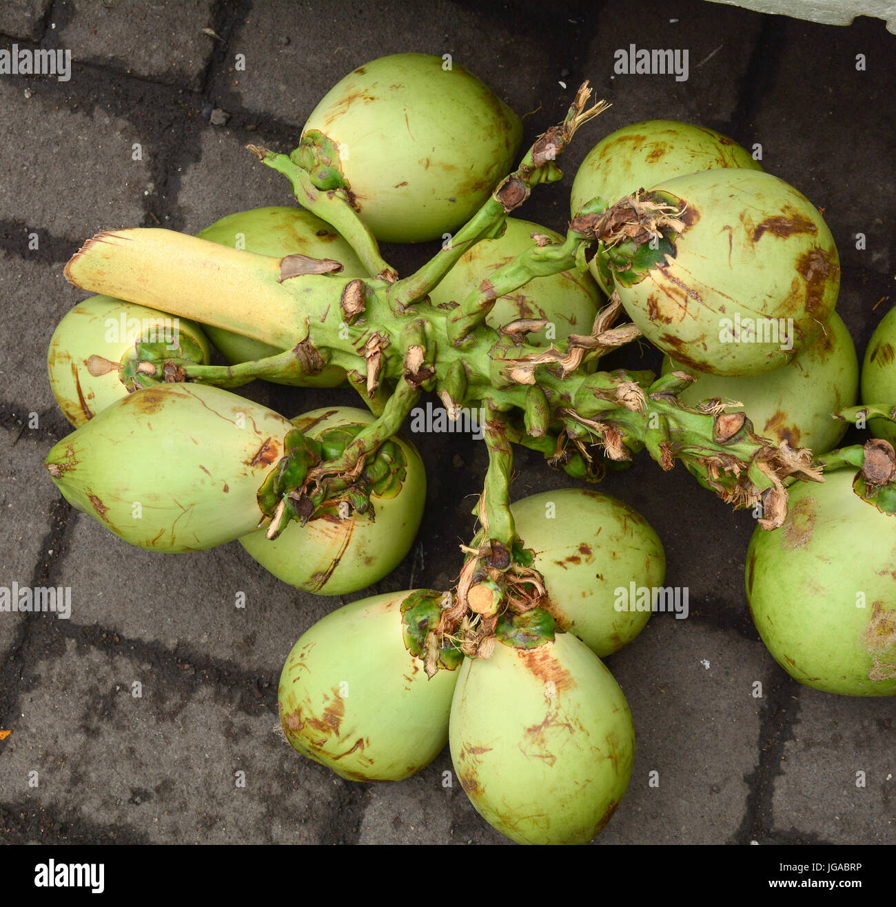 Fresh coconut fruits for sale at Central Market in Bali, Indonesia ...