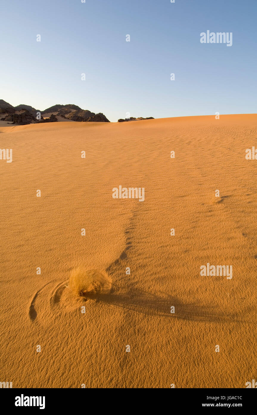 Akakus, Sahara desert, Fezzan, Libya Stock Photo - Alamy