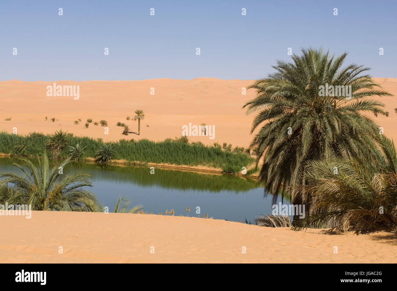 Mafu lake, Erg Awbari, Sahara desert, Fezzan, Libya Stock Photo - Alamy