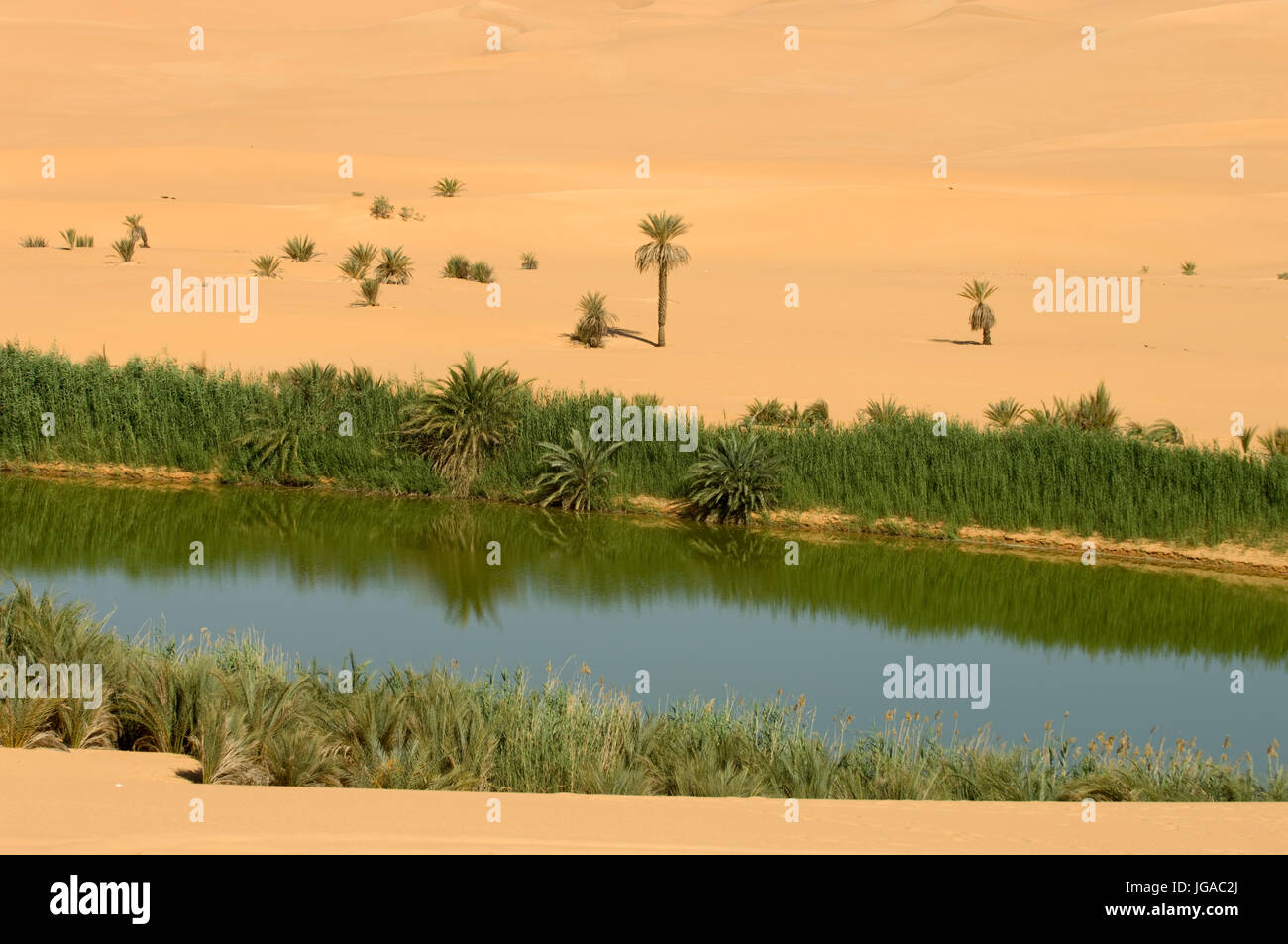 Mafu lake, Erg Awbari, Sahara desert, Fezzan, Libya Stock Photo - Alamy