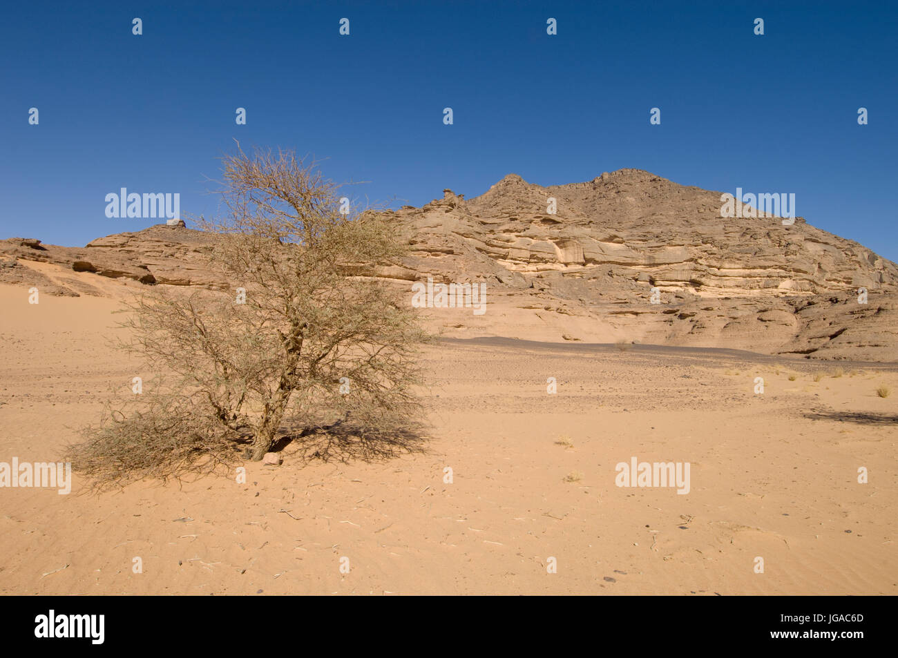 Akakus, Sahara desert, Fezzan, Libya Stock Photo - Alamy