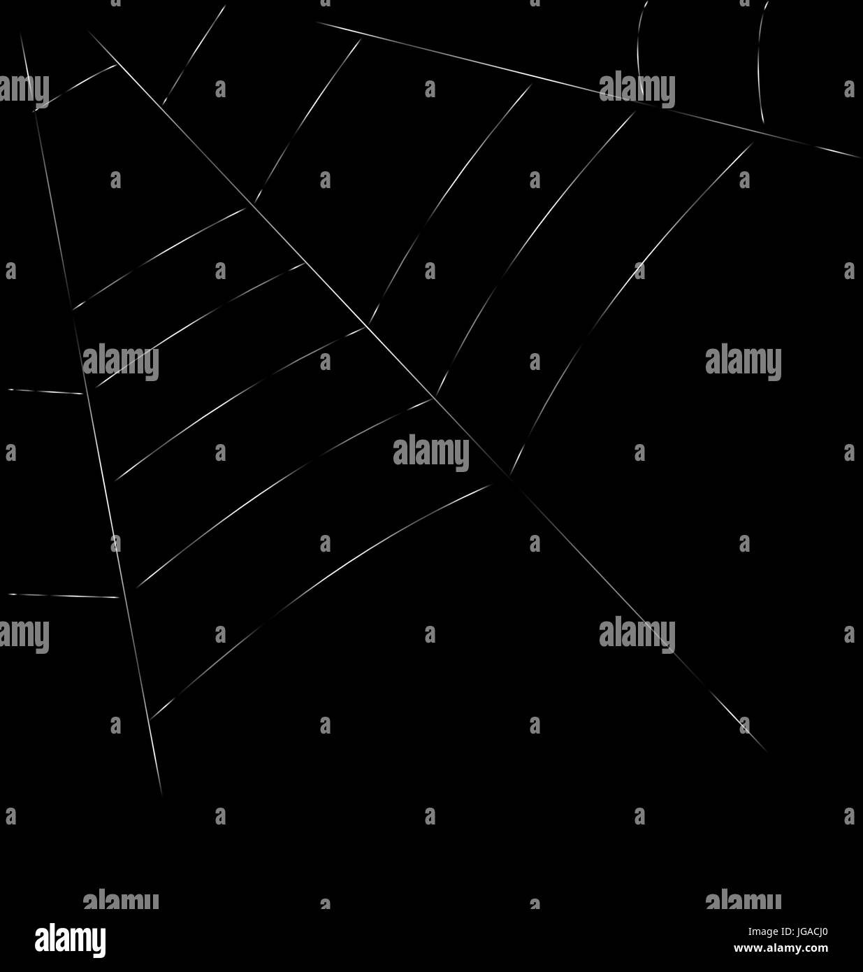 spider web detailed illustration - white threads over white Stock Photo ...