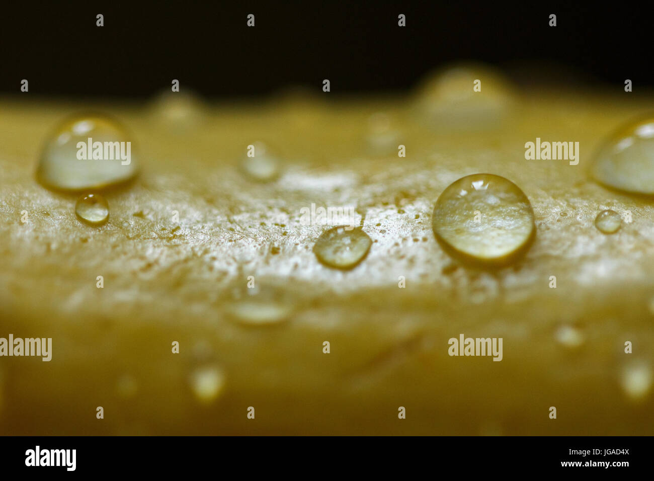 water drops on a yellow squash (Curcurbita moschata Stock Photo - Alamy