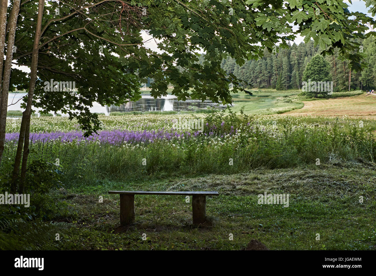Bank under tree in summer bench under a tree hi-res stock photography ...